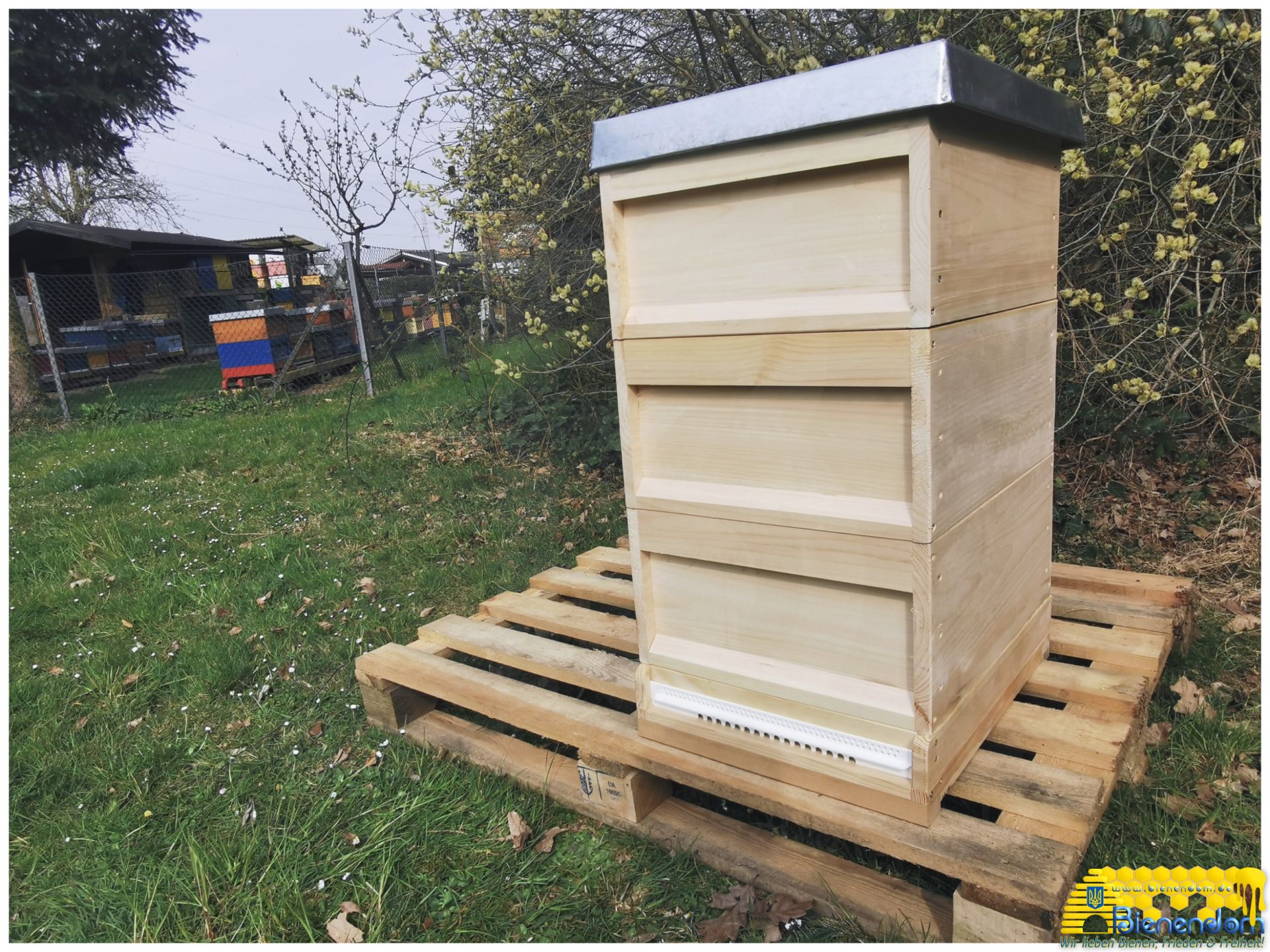 Beuten aus Holz oder Styropor | Bienendom.de